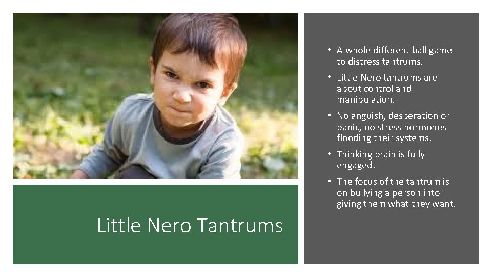 Five maneuvers for a toddler tantrum Mummy Owl