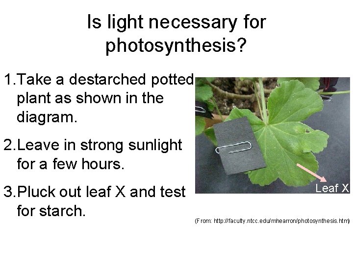 Photosynthesis Investigating Photosynthesis Objectives Controls and ...