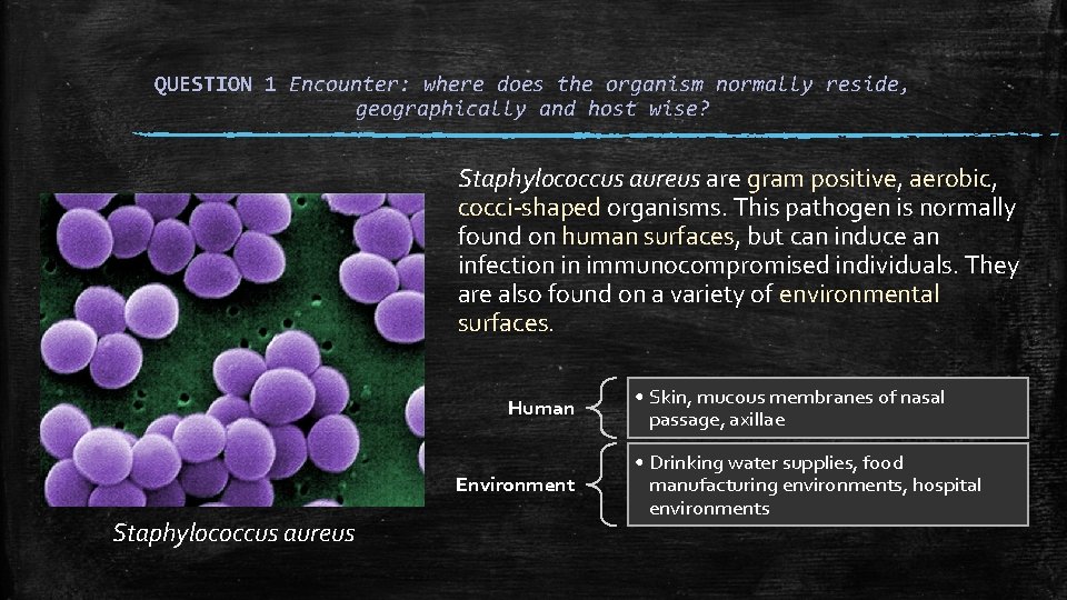 CASE 4 Bacterial Pathogenesis of Staphylococcus aureus PATH