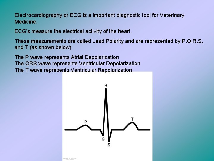 Electrocardiogram ECG Part 1 Made for understanding By