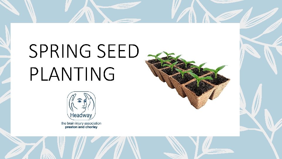 SPRING SEED PLANTING Planting seeds is easy to