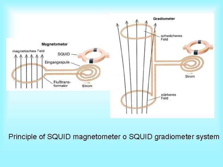 WP 6 Task 6 1 SQUID scanning W