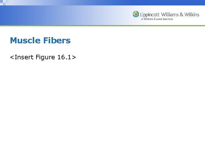 Chapter 16 Drugs Affecting Muscle Spasm and Spasticity