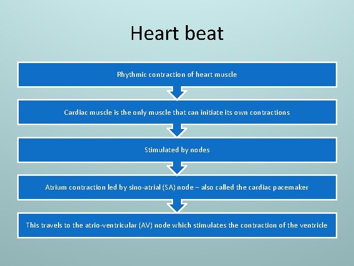 The Circulatory system Objectives 1 To learn the