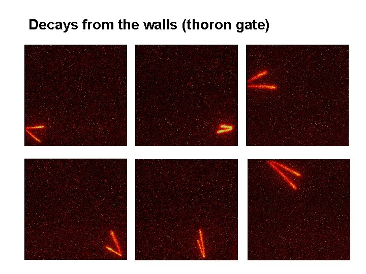 Optical Time Projection Chamber for radon and thoron