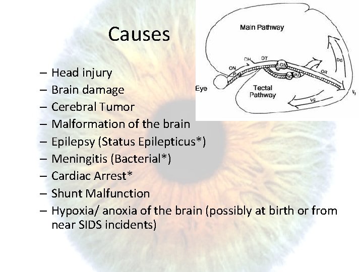 Cortical Visual Impairment CVI AKA Cortical Blindness Neurological