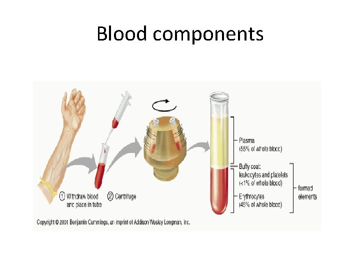 Haemolysing Agents Detection of blood Blood components Erythrocytes