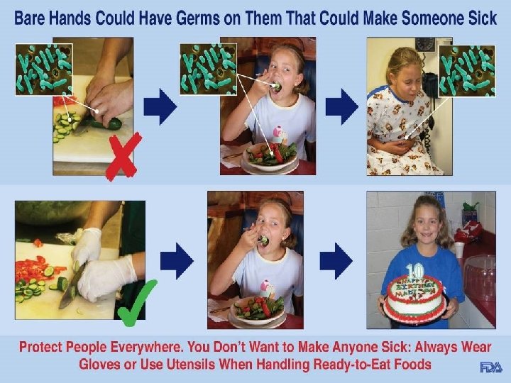 Food Safety Hazards 1 Biological Hazards Include bacterial