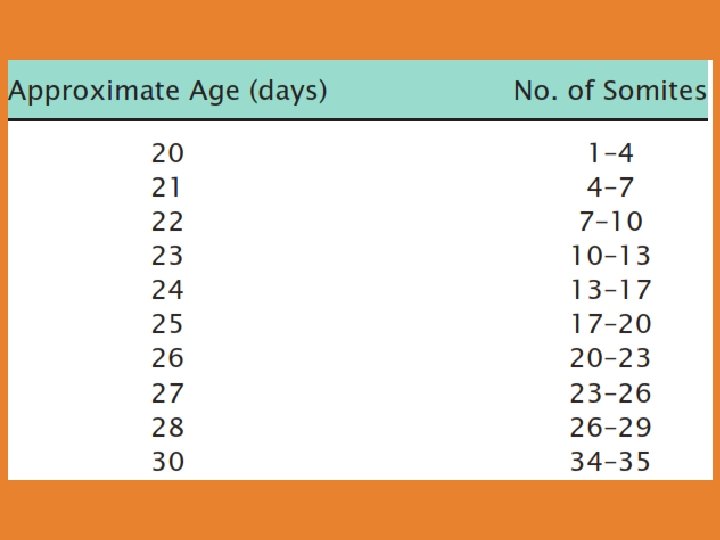 Differentiation of three germ layers DR ZUBAIR SUMMARY