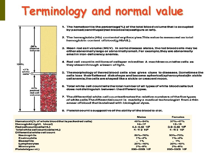Chapter 3 BLOOD PHYSIOLOGY What will we discuss
