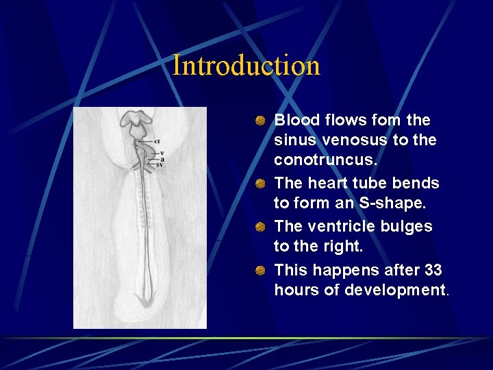 Developmental Physiological Aspects of the Embryonic Chicken Heart