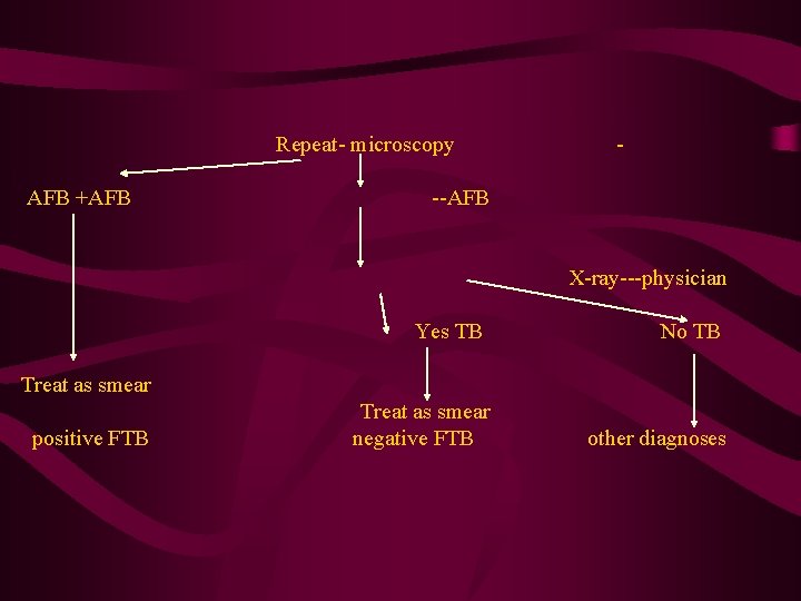 National Tuberculosis Control Guidelines Part II Prof Hala