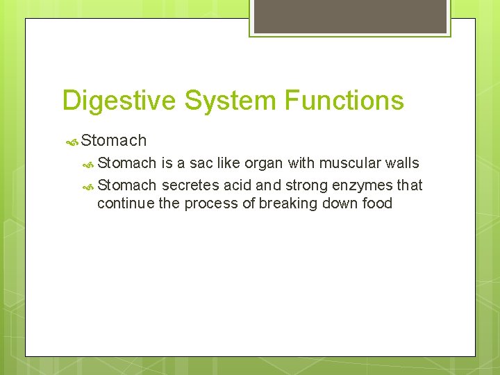 The Digestive System By Chris Schneider The Digestive
