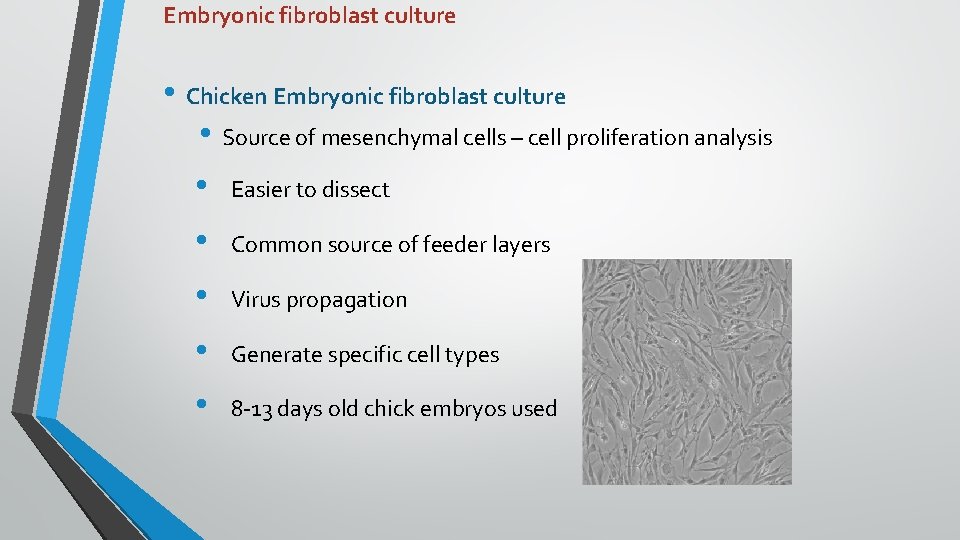 Animal Cell Culture VPB321 Animal Biotechnology Anil GattaniAjeet