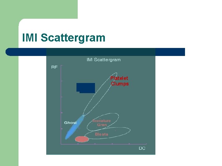The XE2100 WBC and Differential measurement Principles of
