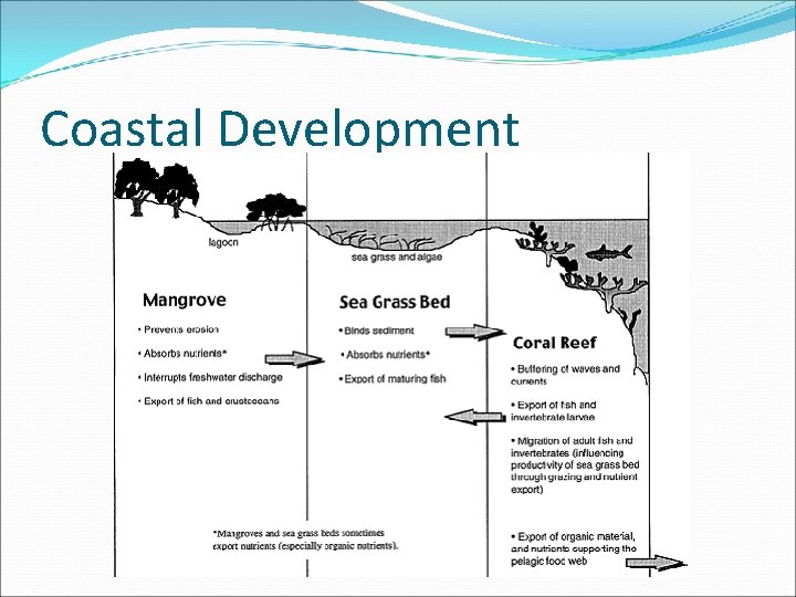 Coral Reefs Threats Human Benefits Food Web What