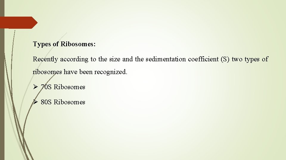 Organelles Of Cell Endoplasmic Reticulum Ribosomes Vacuoles Ribosomes