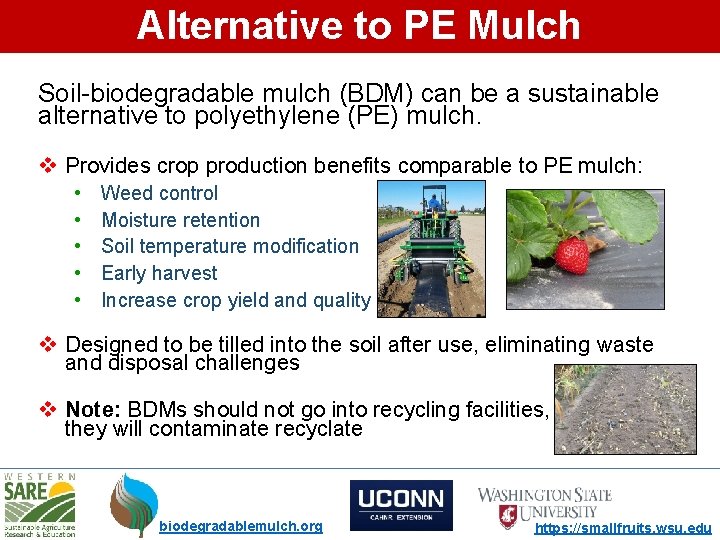 What is Soilbiodegradable Mulch Presenter Your name here