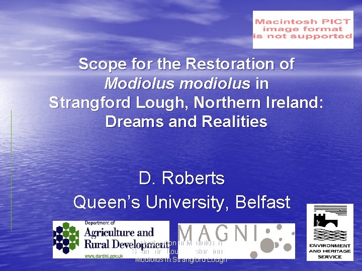 Scope for the Restoration of Modiolus modiolus in