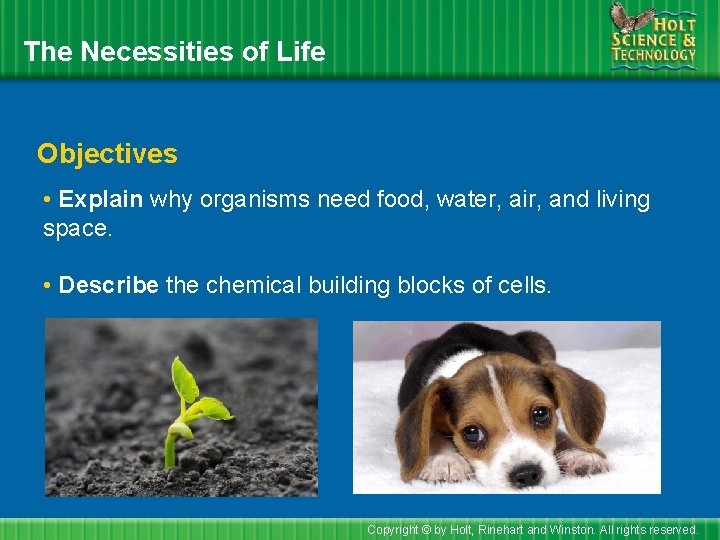 Section 1 Characteristics of Living Things Bellringer What