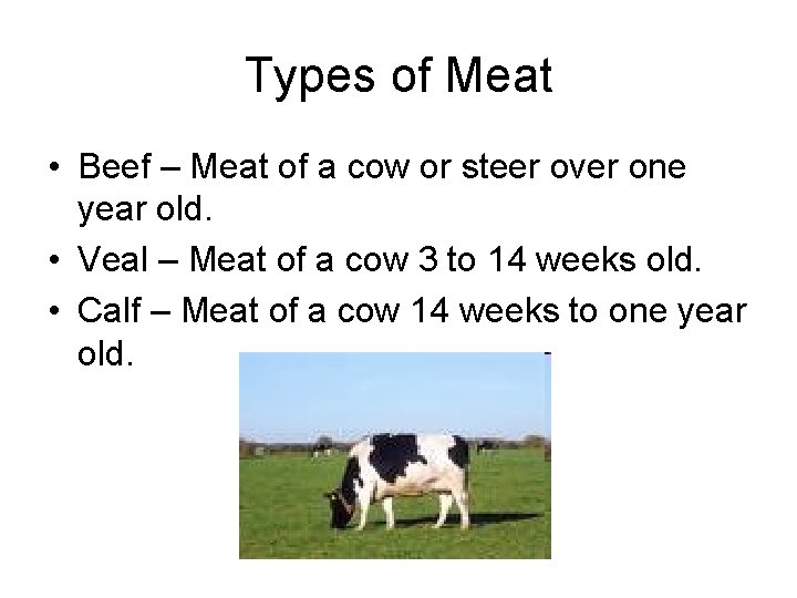 Meat Types of Meat Beef Meat of a