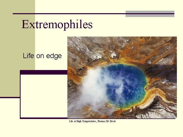 Extremophiles Life on edge Life at High Temperatures