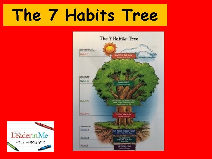 What is a Leader Leaders make good choices