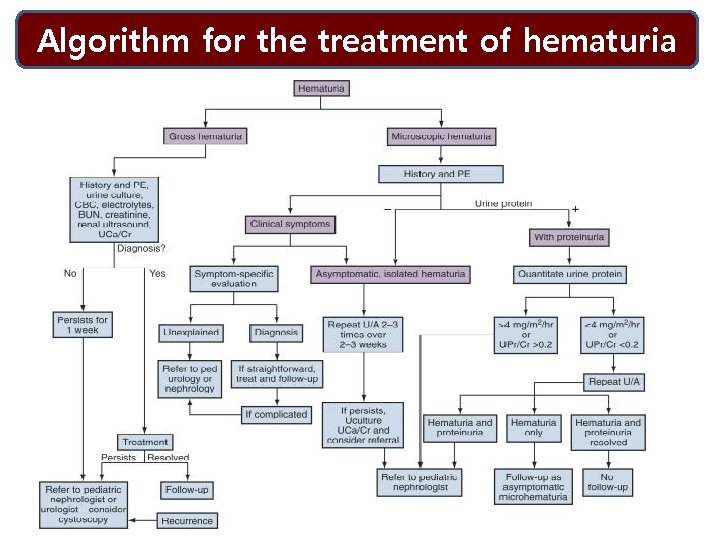 Management of Hematuria in Children A suggested approach