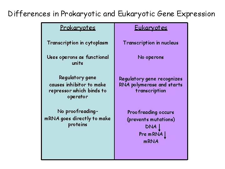 GENE EXPRESSION AND MUTATION GENE EXPRESSION IN PROKARYOTES