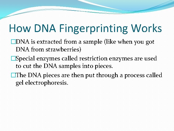 DNA Fingerprinting Gel Electrophoresis Do Now DNA Fingerprinting