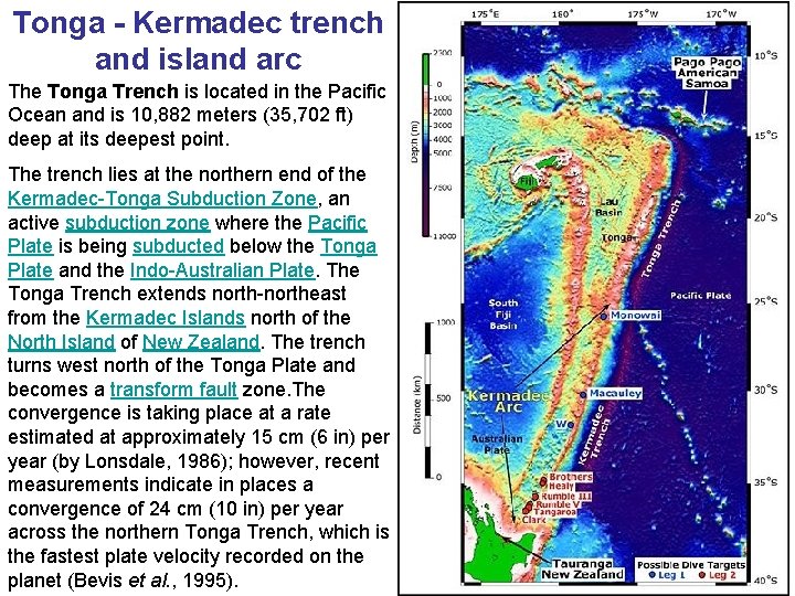 amplification of seismic waves tsunami seismic sea waves