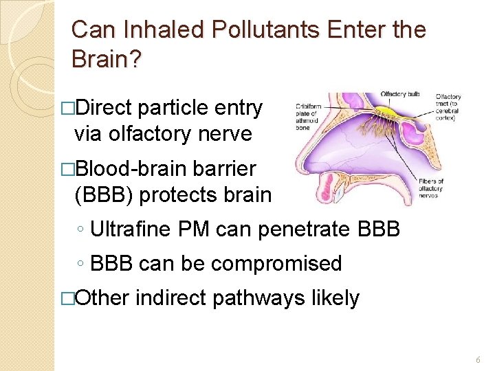 Research Update on Air Pollution and the Brain