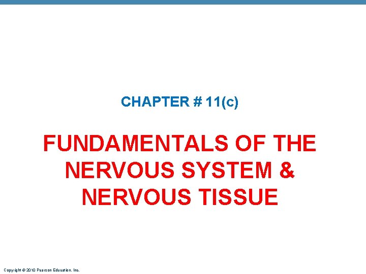CHAPTER 11c FUNDAMENTALS OF THE NERVOUS SYSTEM NERVOUS