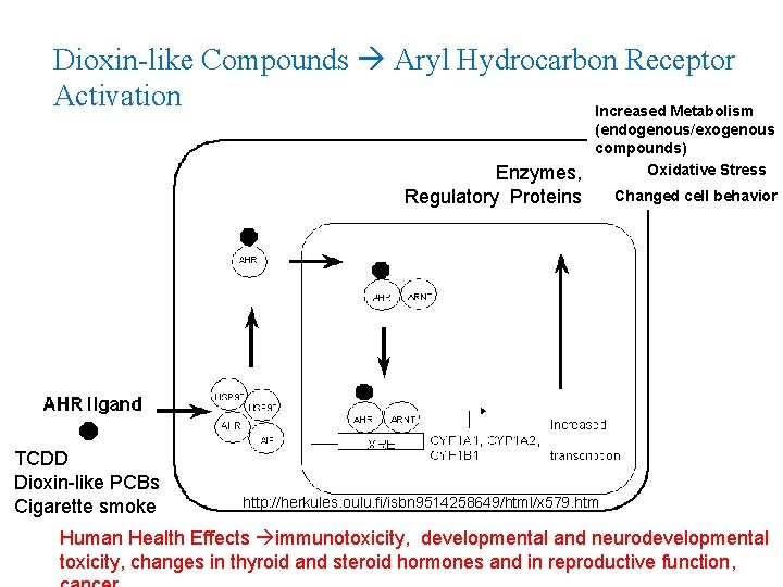 PCBs in Schools Risk eLearning Webinar April 28
