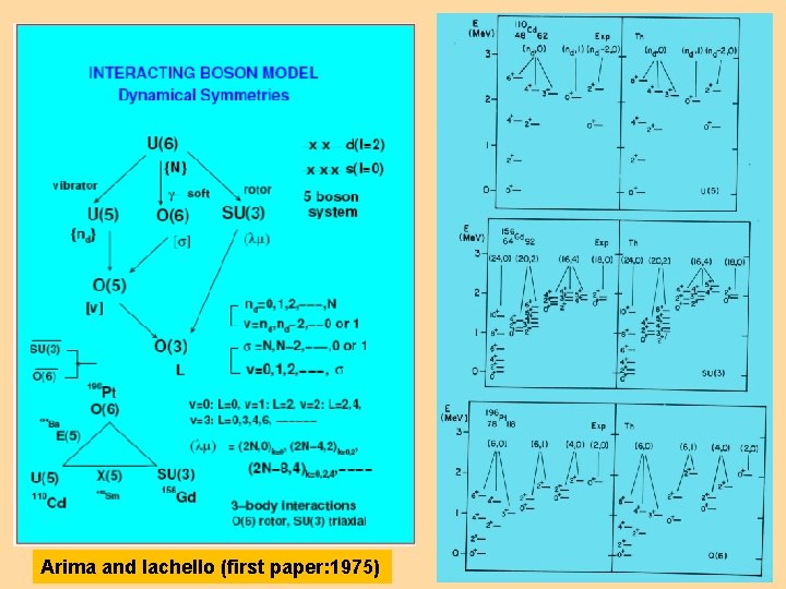 Extended Interacting Boson Models for Exotic Nuclei V