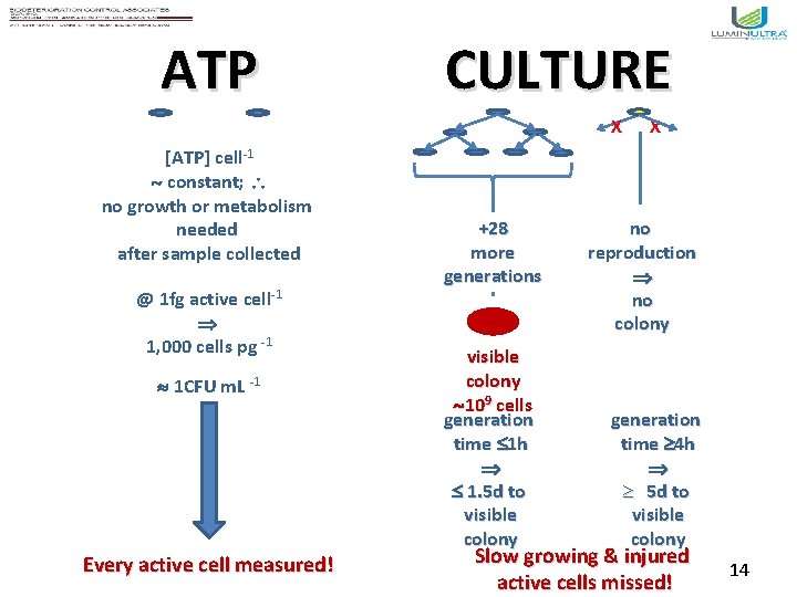 Quantitative Bioburden Testing with the ATP Test Understanding