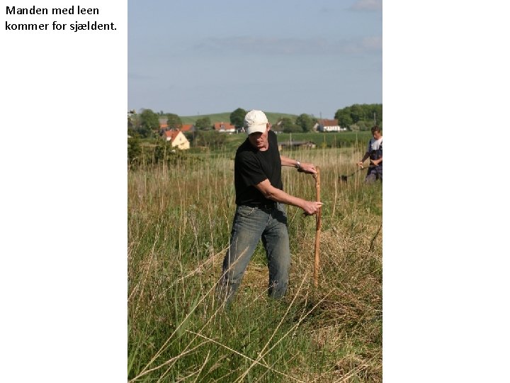 BIODIVERSITET OG UDSTNING AF ARTER MORTEN DD HANSEN
