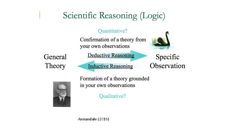 Publication and Research Dr Vu Thi Thanh Nha