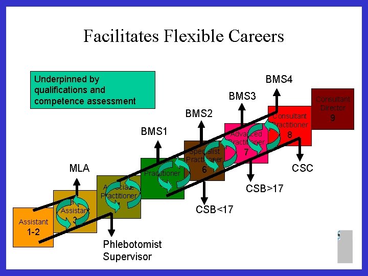 Metabolic Biochemistry Network BMS Group Skills for Health