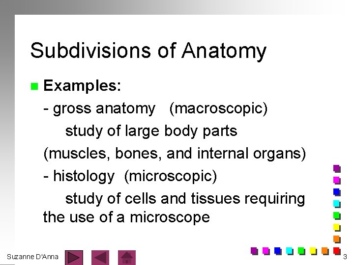 An Introduction to the Human Body Suzanne DAnna