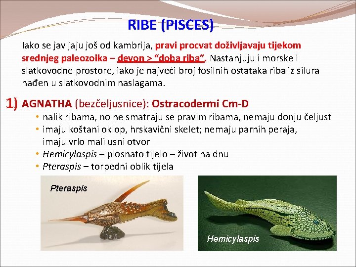 FANEROZOIK SREDNJI PALEOZOIK SILUR S i DEVON D