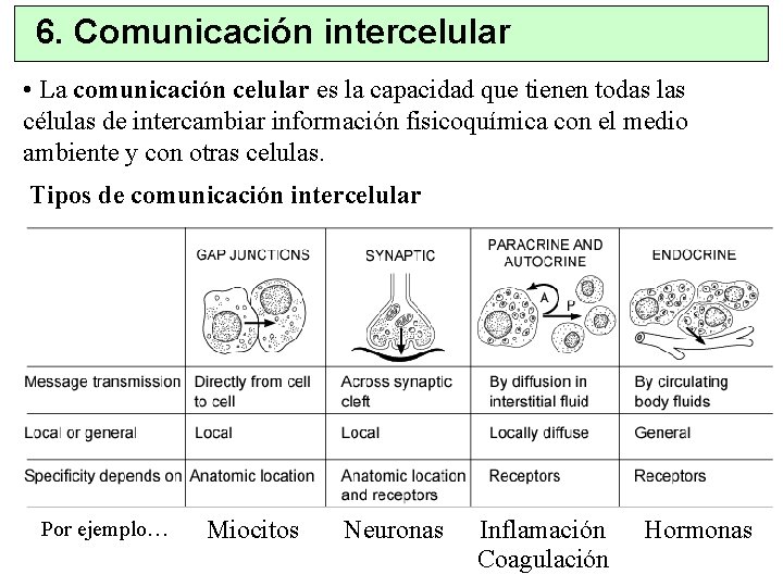 Funciones Celulares Claudio Astudillo Reyes Kinesilogo Diplomado en
