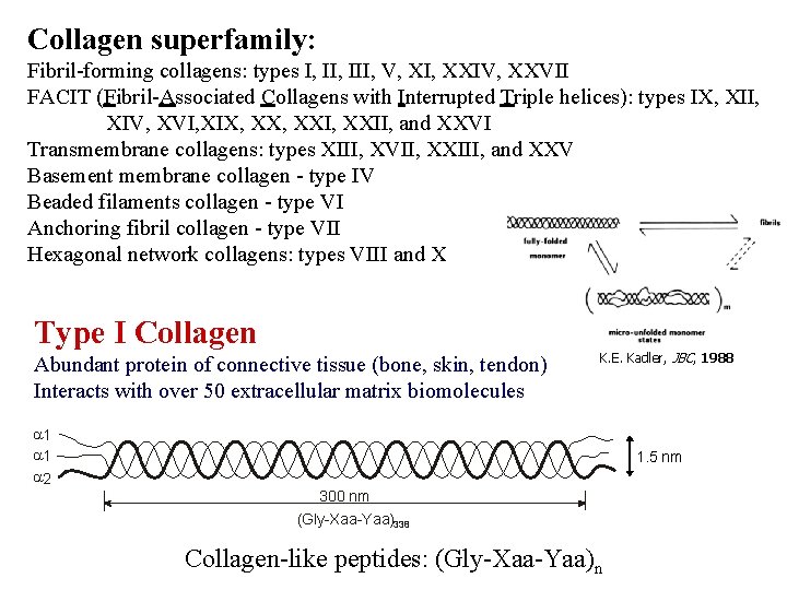 Biophysical approaches to studying disease A discussion of