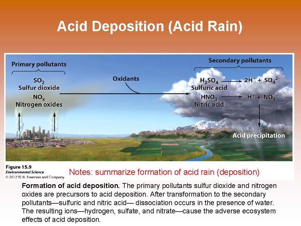 Chapter 15 Air Pollution and Stratospheric Ozone Depletion