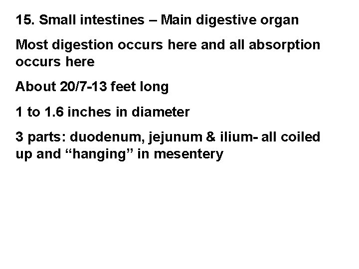 1 CHAPTER 23 part b2 DIGESTIVE SYSTEM TABLE