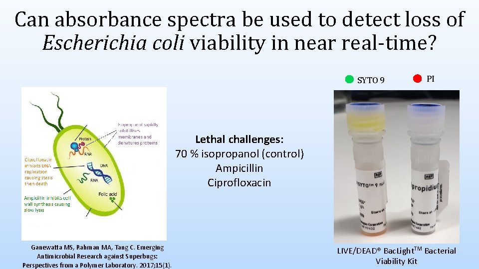 Detection of bacterial cell death using absorbance spectra