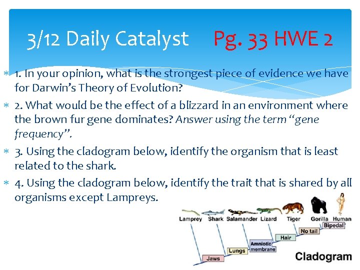 312 Daily Catalyst Pg 33 HWE 2 1
