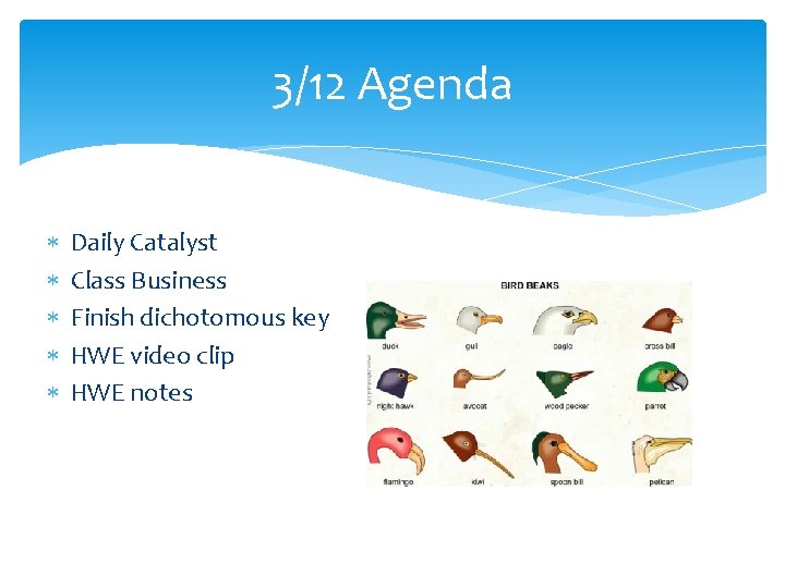 312 Daily Catalyst Pg 33 HWE 2 1