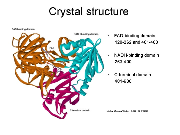 Progress Report Apoptosis inducing factor l l Introduction