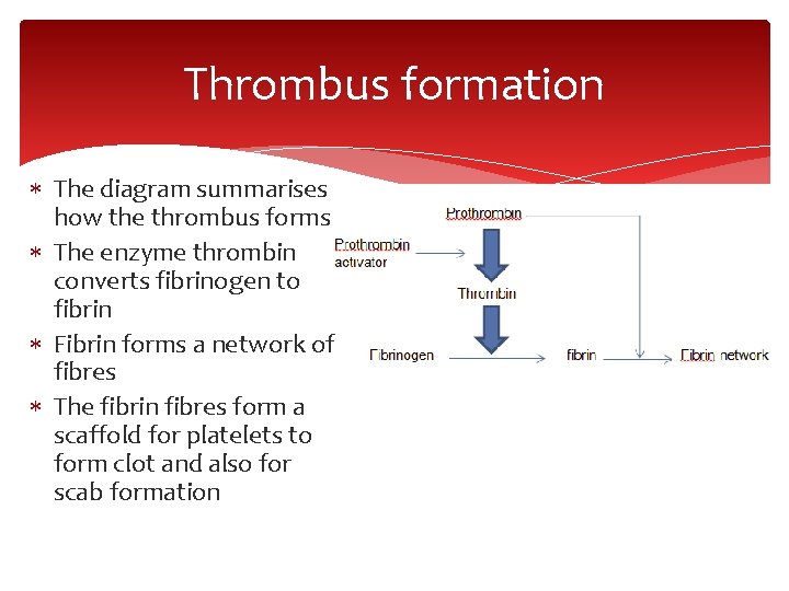 What do I know What is atherosclerosis What